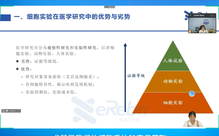 "探索细胞实验在医学研究中的优势与局限"