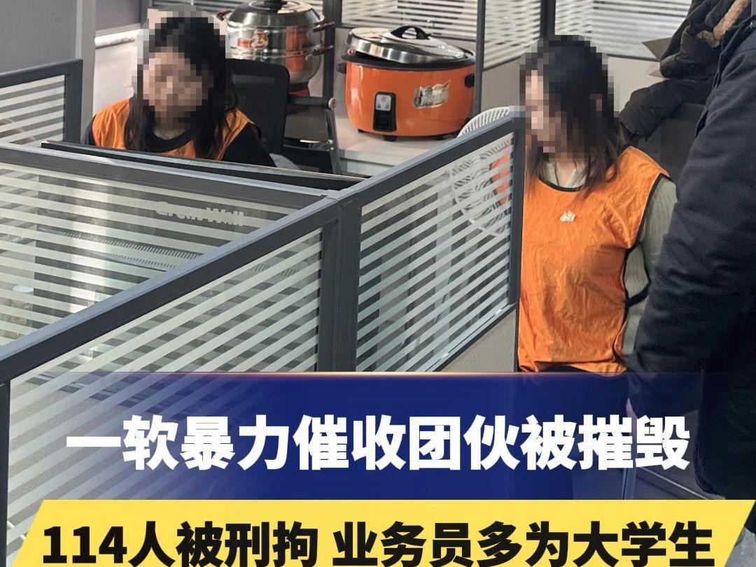 ...摧毁,114人被刑拘,业务员多为大学生,主犯之一曾是银行高管,年入50万