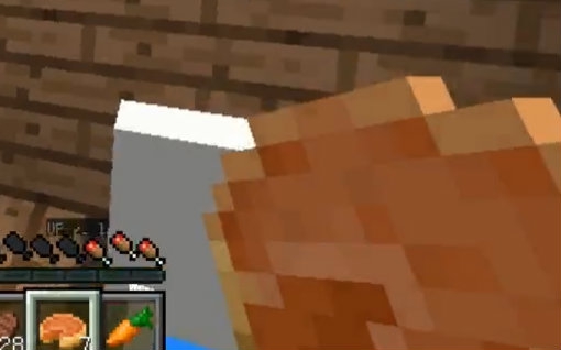 某男主播在我的世界里卖肉松饼月入百万