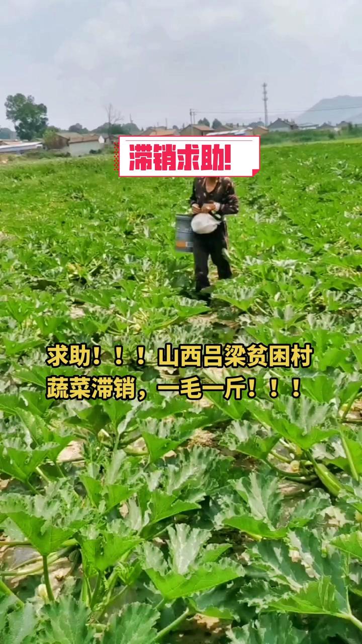 ...谁能支持销售请速联系!请注意:我们完全公益转发,有需求都请联系...