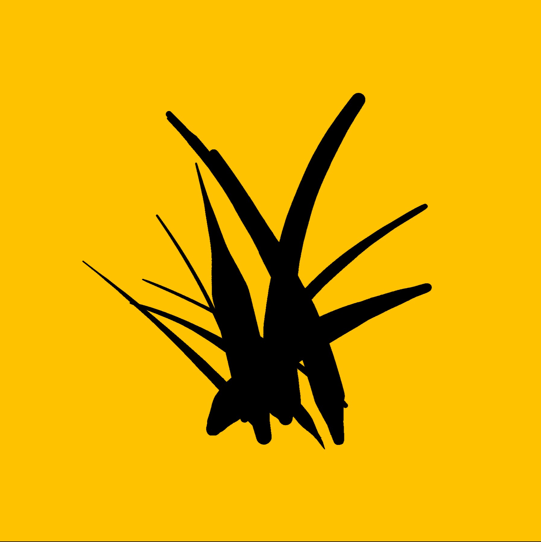 WildFire野火生活频道 