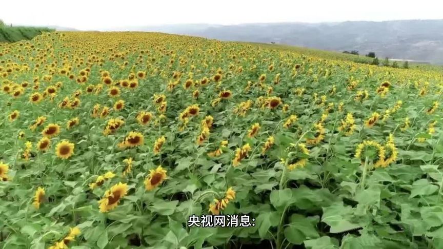 #全民阅读 #中华传统文化 #思政课