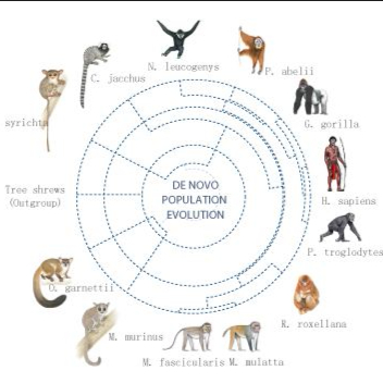 达尔文的小迷弟 