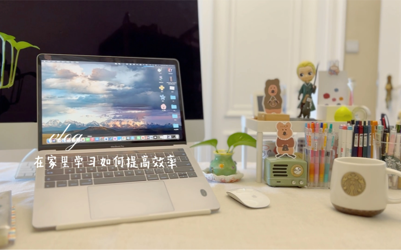 Vlog 20|在家里如何提高学习效率 ?1.每日计划2.备好水和水果3.使用...