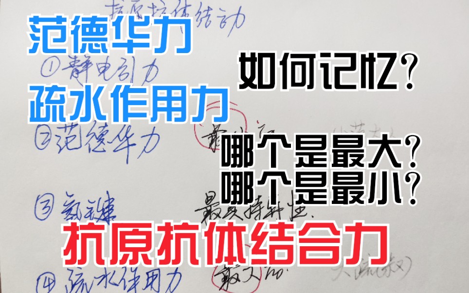 【免疫检验】抗原抗体结合力当中哪个最大?哪个最小?记忆方法分享