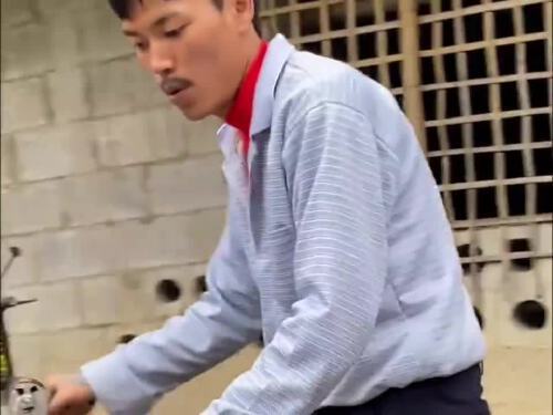 告别摔跤!3天学会自行车,大人小孩都适用的零基础骑行攻略