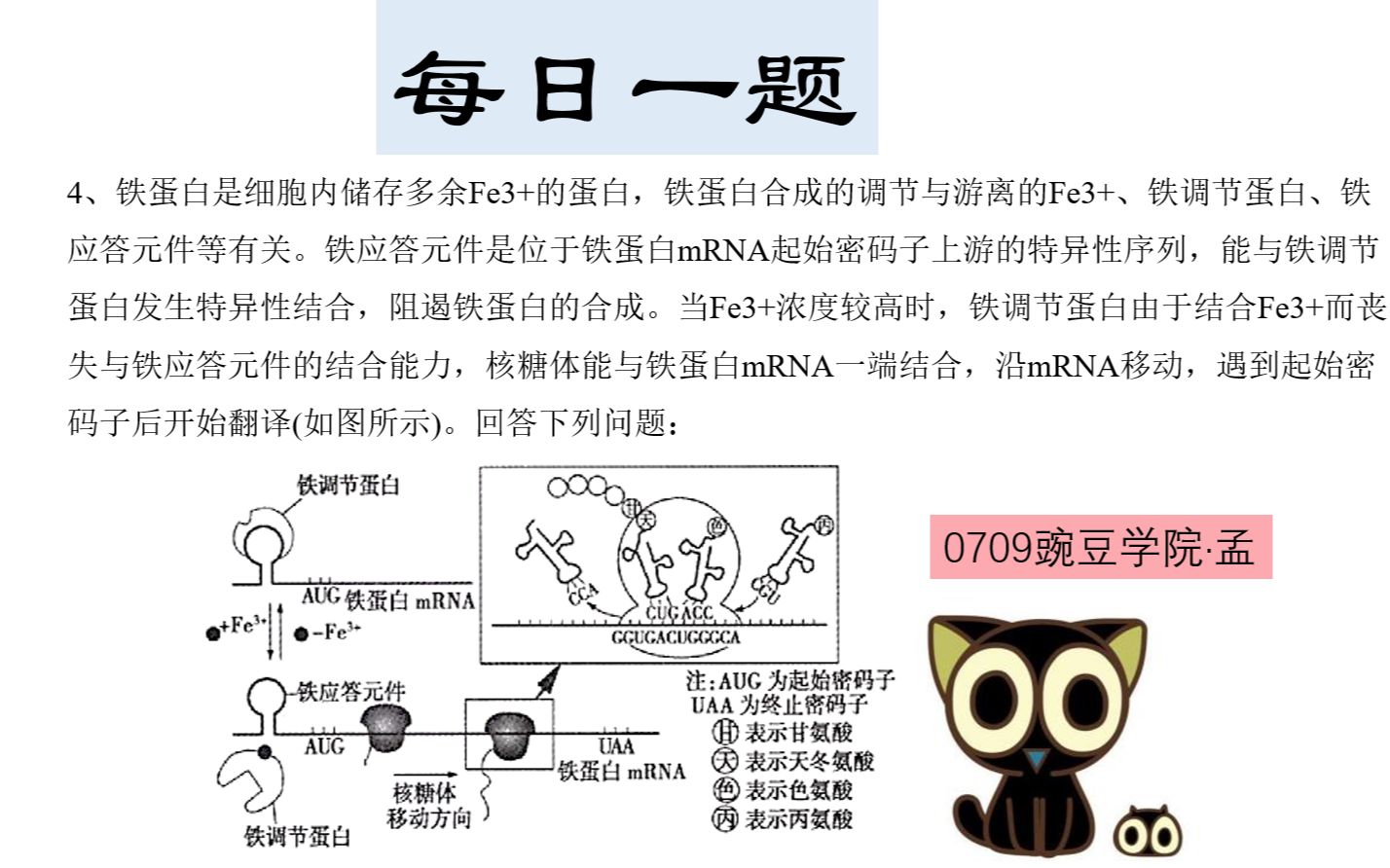 ...每日一题】0709 细胞内铁蛋白合成的调节机制 | 蛋白质合成过程小练习