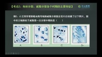 细胞的生命历程专题之细胞的增殖
