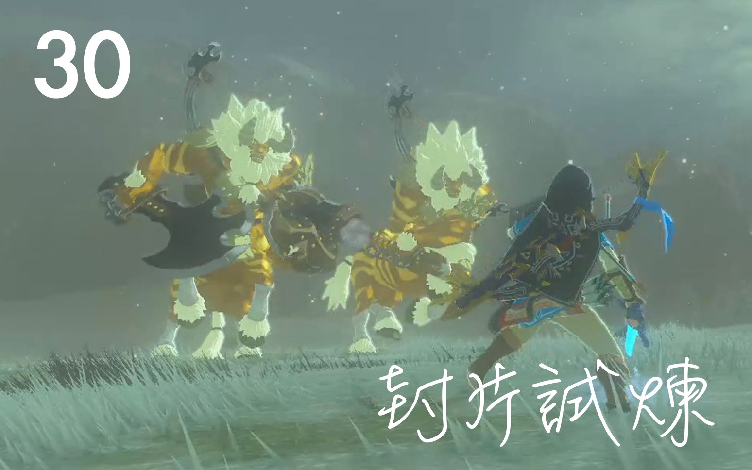 【塞尔达传说−旷野之息】30(end)「封片试炼」- 双人马战(v.s. 2 ...