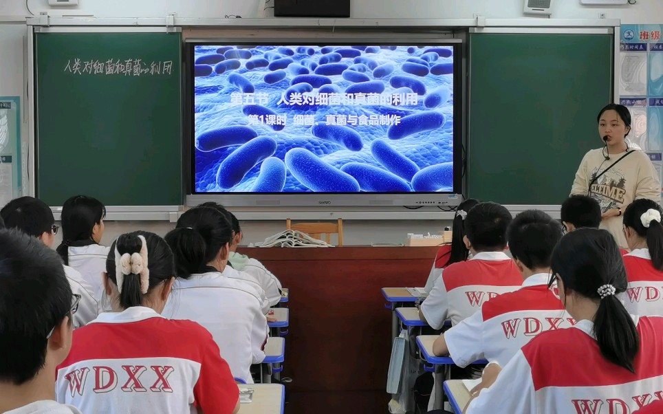 人教版生物学八年级上册 人类对细菌和真菌的利用 食品制作