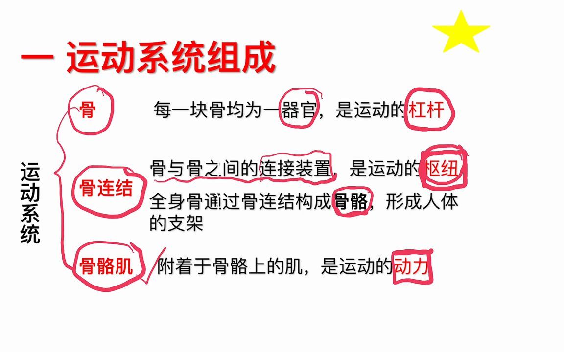 3系统解剖学零基础易学网课-第3集-P3 运1、运动系统组成