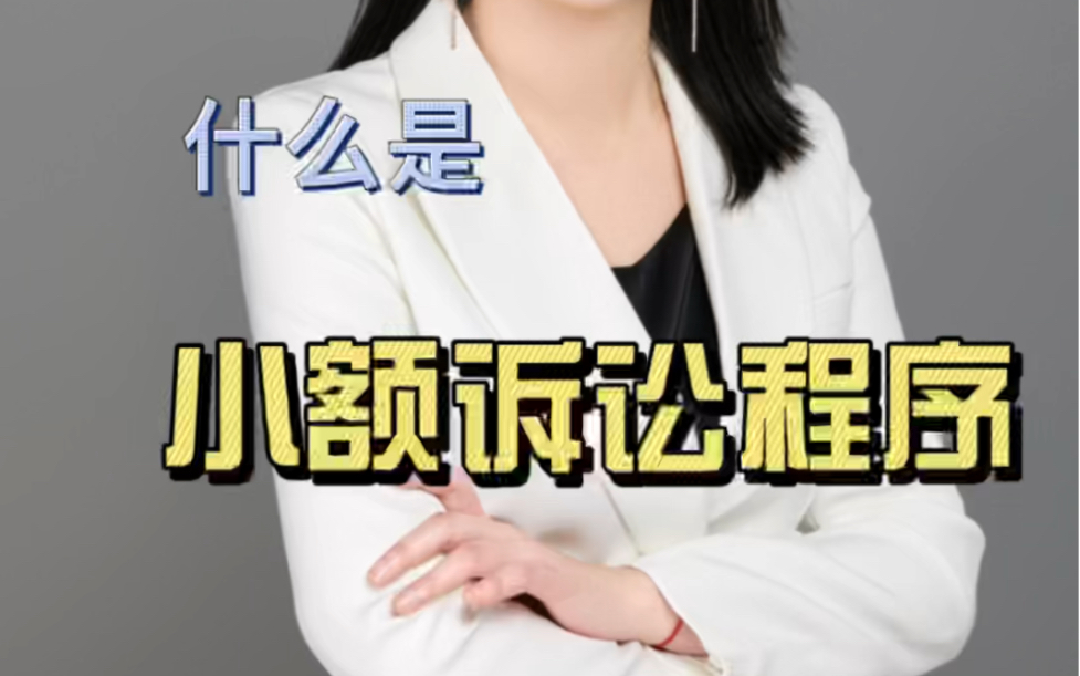 什么是小额诉讼程序