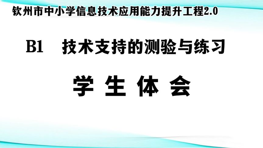 信息技术应用能力提升工程2.0 B1技术支持的测验与练习学生体会