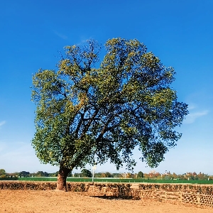 测试和种地造福世界 