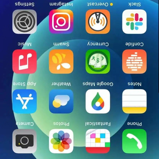 一只小小谭 