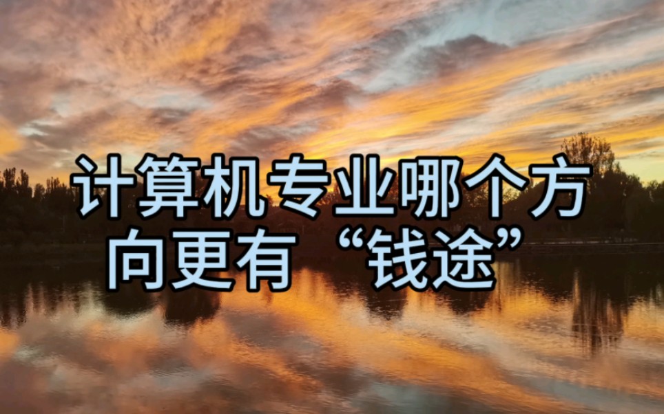 前端、后端、运维、测试、大数据AI,计算机专业哪个方向更有“钱途”?