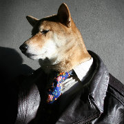 犬子犬子犬 