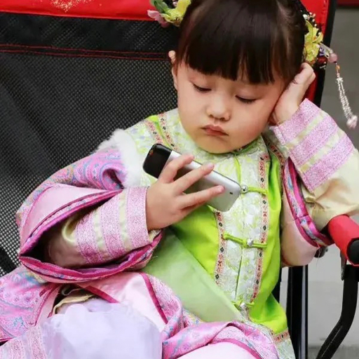 斯丢匹德女士 