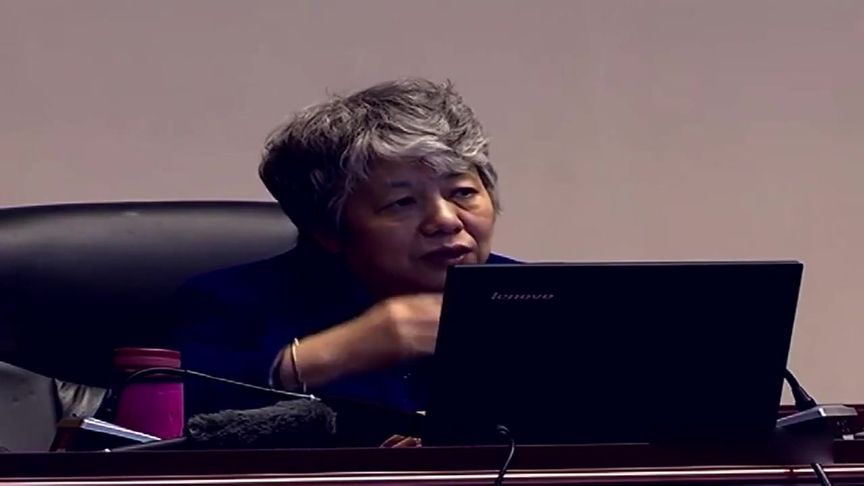 孩子上网,写网络小说,家长该怎么正确引导?李玫瑾告诉你!