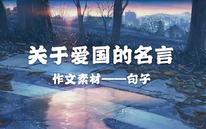[关于爱国的句子素材|作文摘抄]