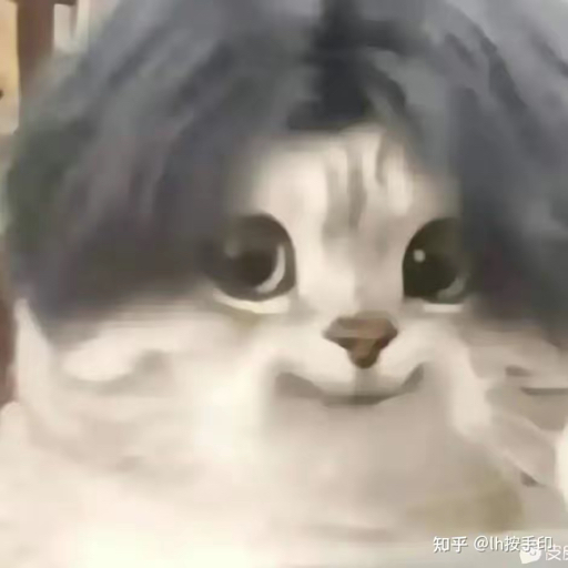 醉梦华庭 
