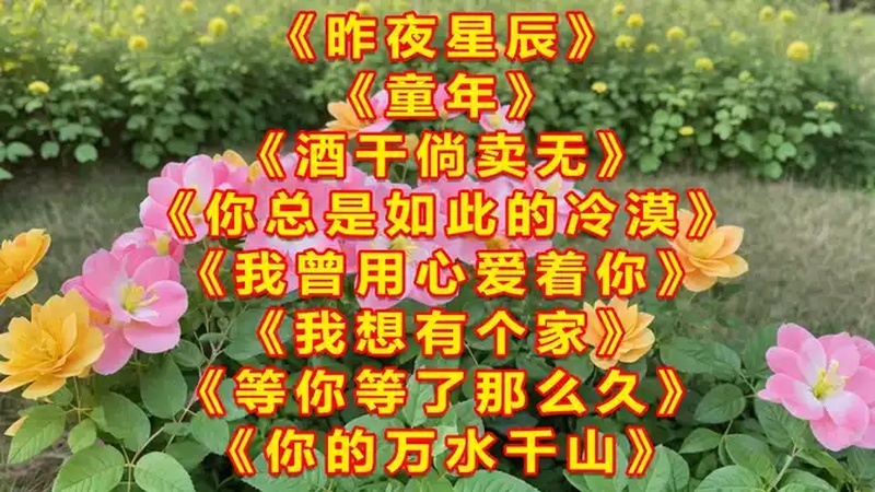 老歌《昨夜星辰》《童年》《酒干倘卖无》《你总是如此的冷漠》