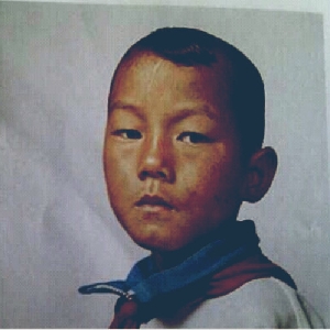XX不懂常识 