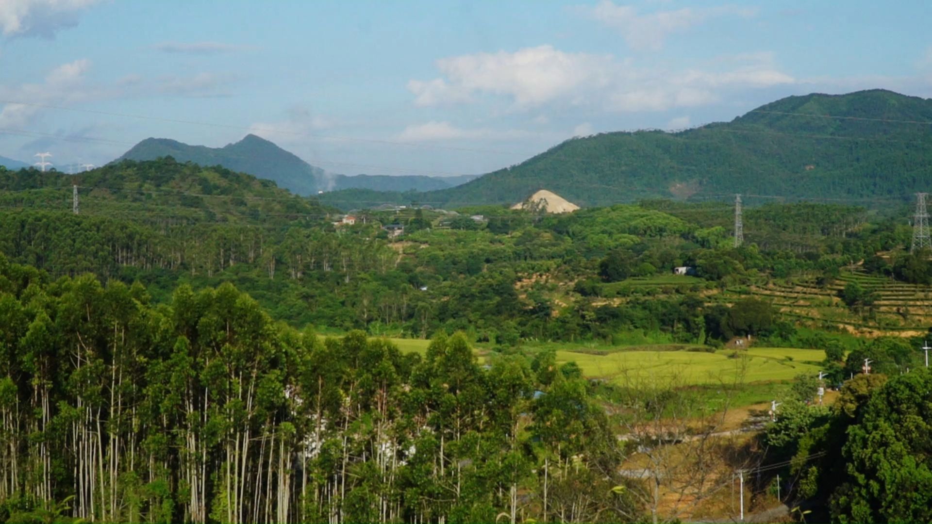 【三下乡】惠东县碧山茶宣传视频——2024年国家资助政策宣传活动...