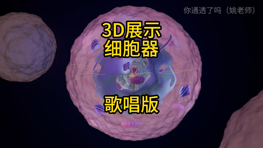 高中生物细胞器立体显示,3D模型,歌唱版