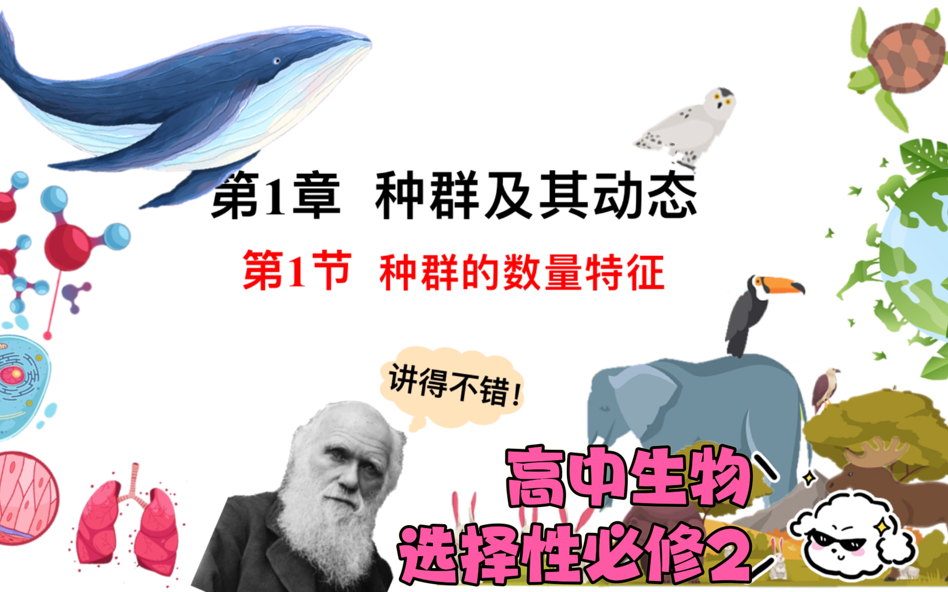 高中生物学选择性必修2 | 1.1种群的数量特征߫�ߏ