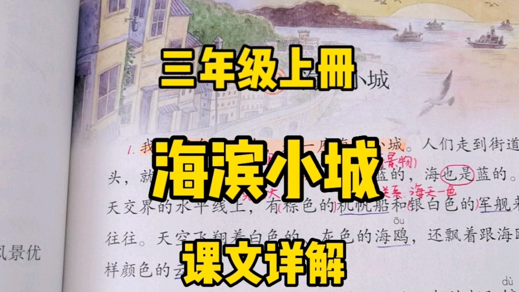 三年级语文上册:《海滨小城》课文详解,一起去欣赏海滨城市的不同...