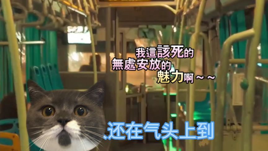 303公交车灵异事件下