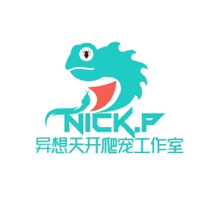 异想天开Reptiles 