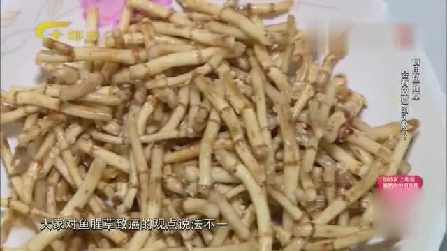 辟谣!食用鱼腥草会致癌是不负责任的说法,但也不可拿来当饭吃