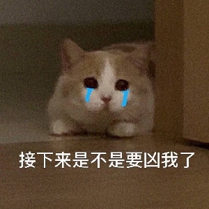 阿辛辛辛 