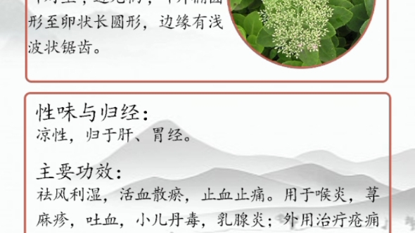 “福泽堂” | 仙剑三中的中药名—景天