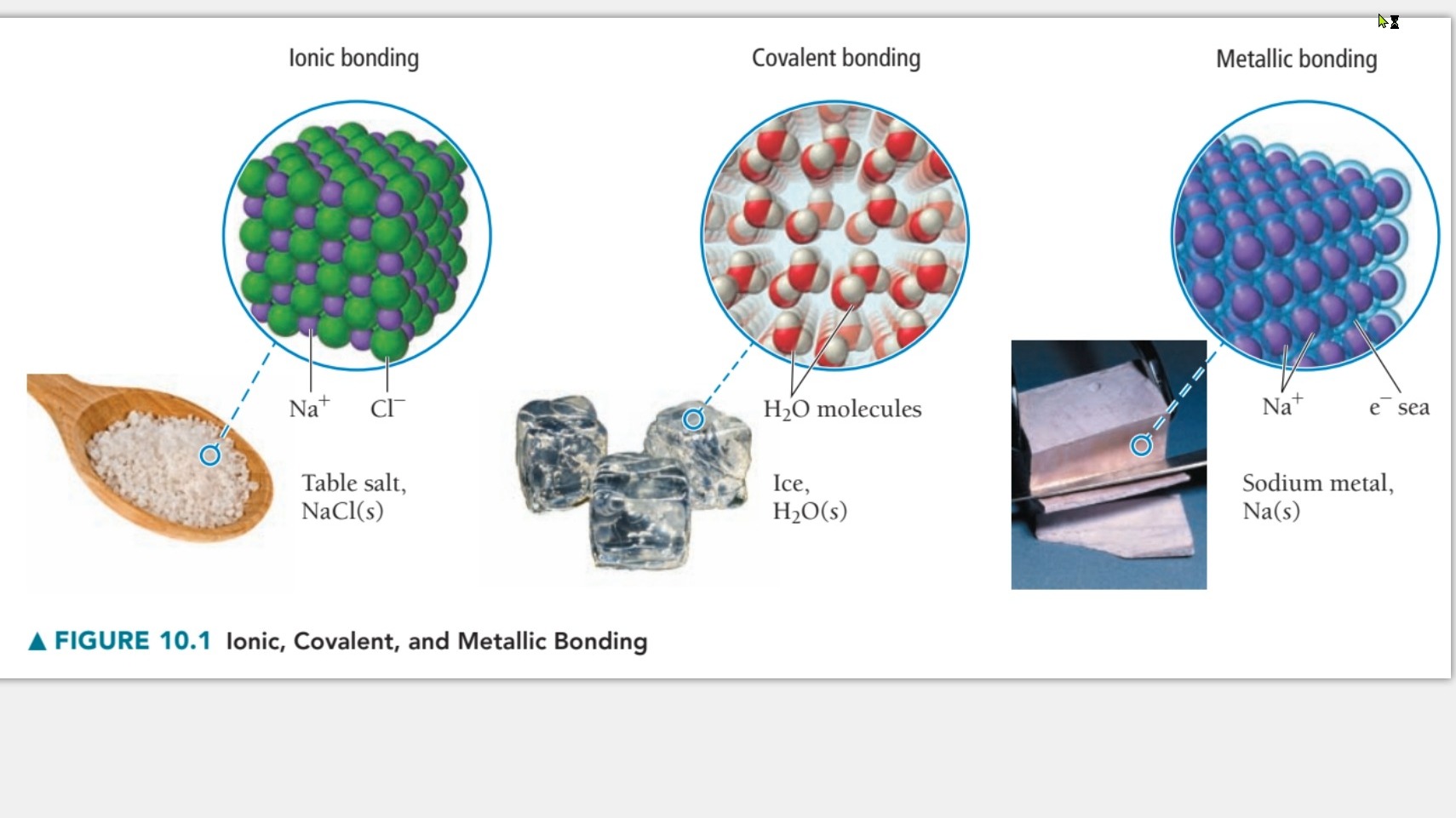 H238-10-1--分子内化学键:离子键;共价键;金属键