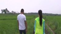 五常市康明水稻种植农民专业合作社企业宣传片