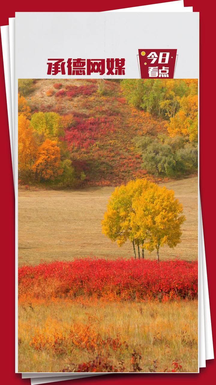 承德围场境内的塞罕坝国家森林公园,自2022年9月15日起全域封闭管理.