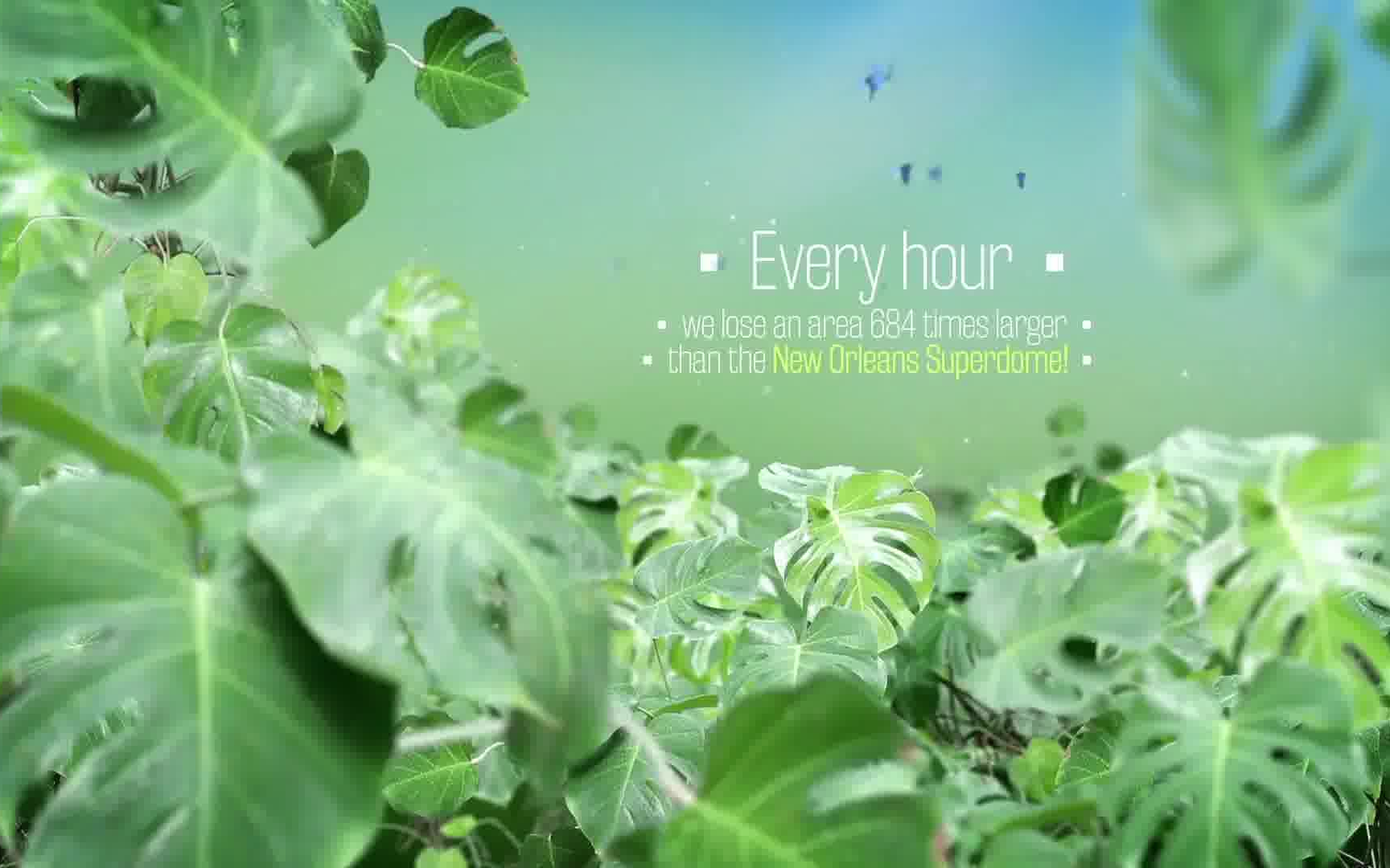 ...的文字标题模板绿色生态保护环境热带雨林森林树林蝴蝶飞舞树叶户外