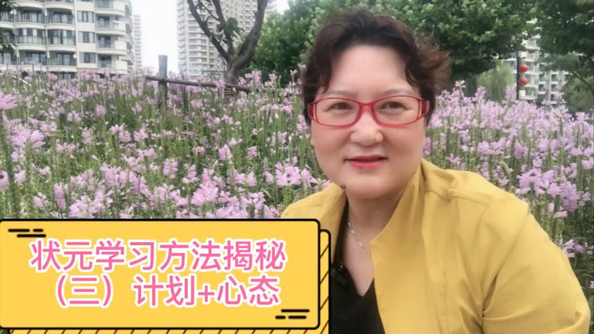 状元学习方法(三)计划+心态