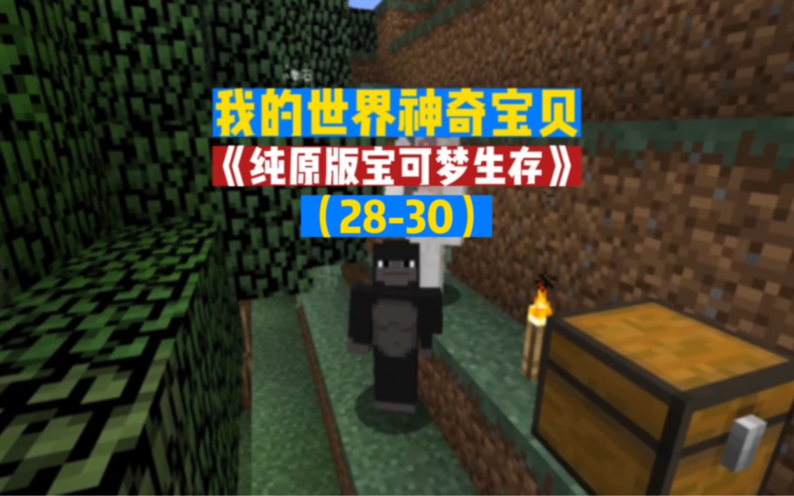 我的世界宝可梦纯原版生存:抓小智的全部精灵!