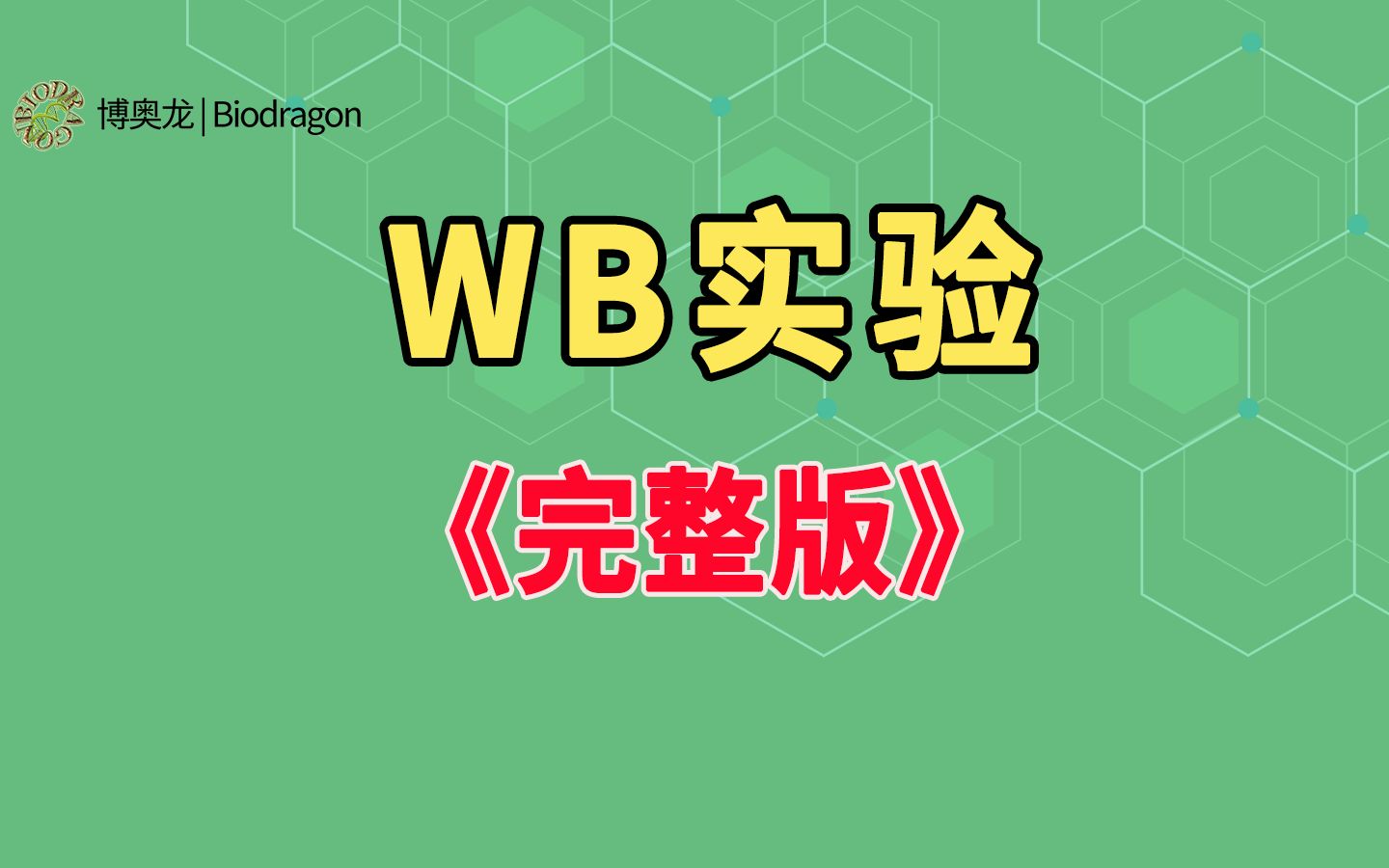WB实验流程完整视频,赶紧收藏呦