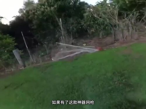 给你一把神奇的网枪,你最想用它干什么