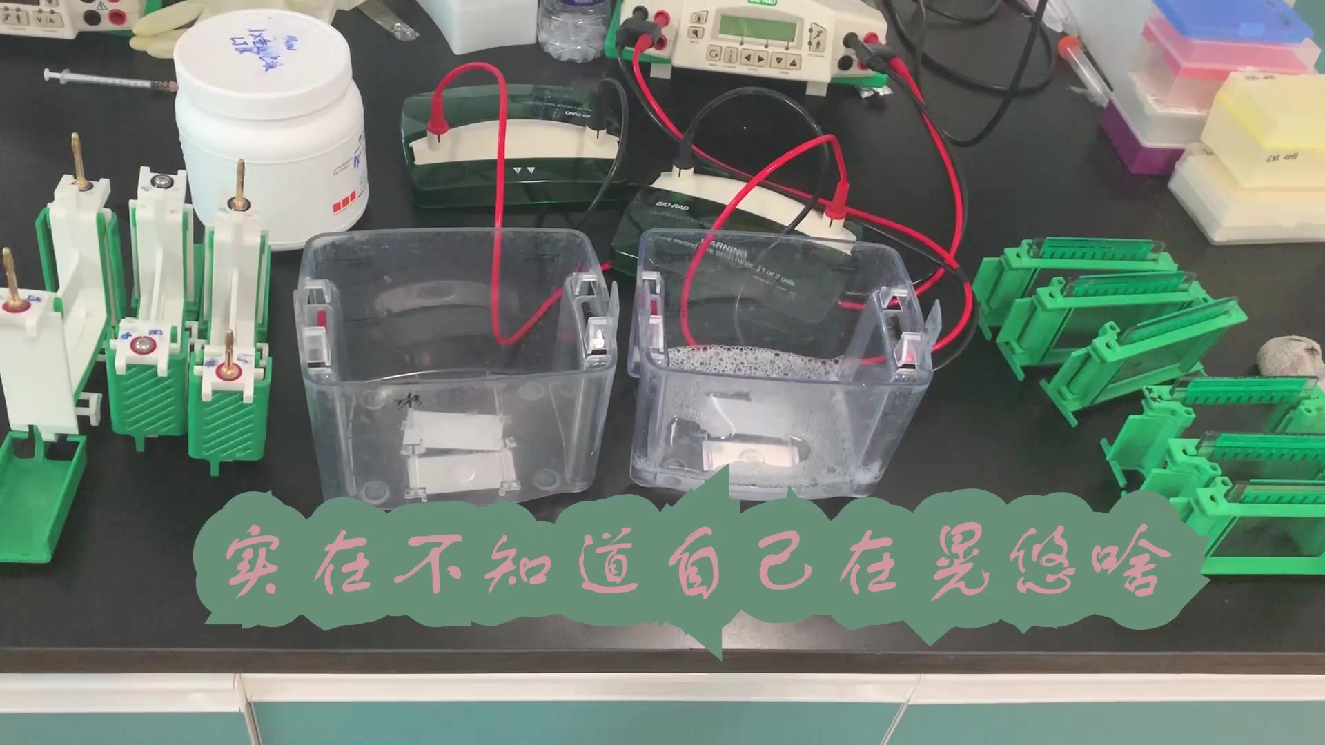 手把手教你 western blot