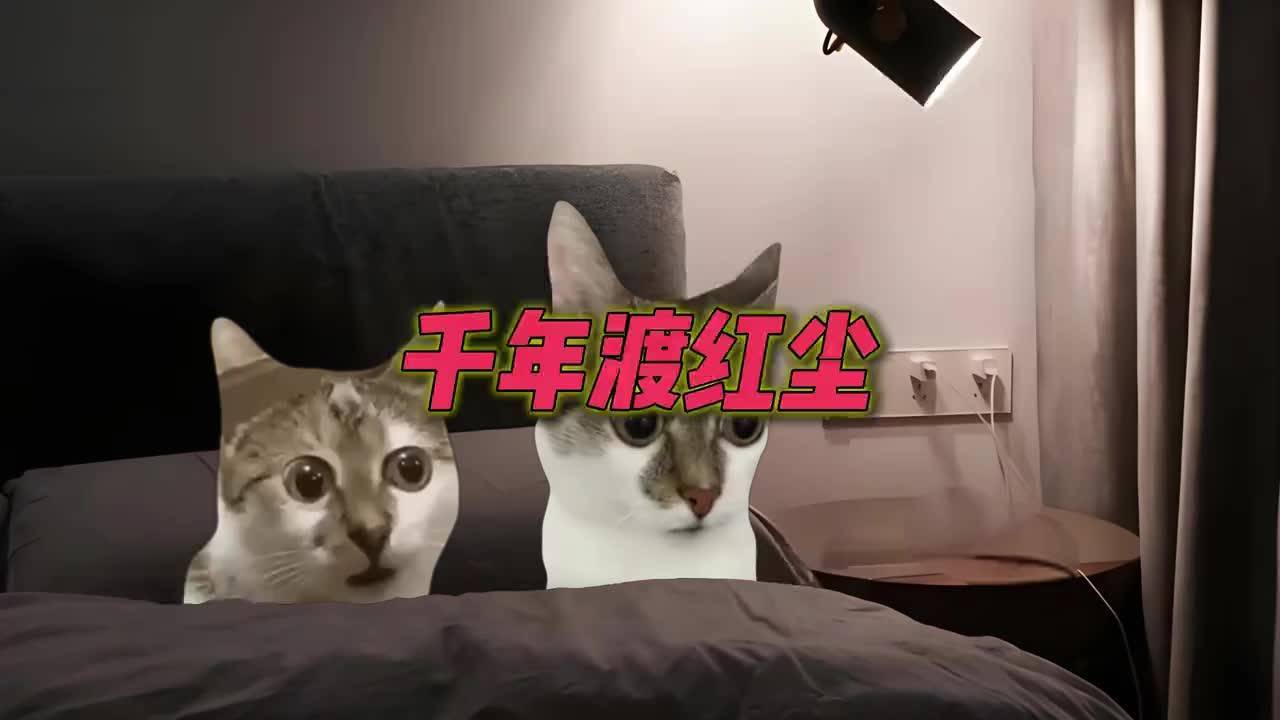 有些事是科学无法解释的