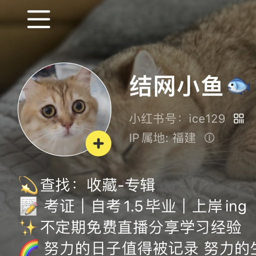 结网小鱼 