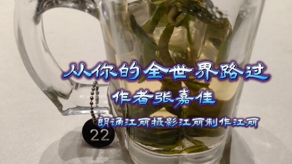 从你的全世界路过作者张嘉佳朗诵江丽摄影江丽制作江丽