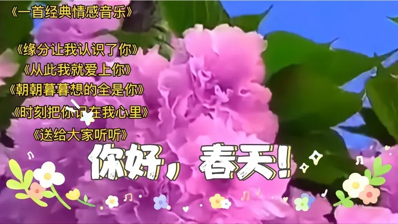 《一首经典情感音乐》《缘分让我认识了你》《从此我就爱上你》…