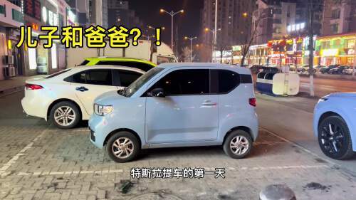特斯拉的单踏板模式:闻起来臭吃起来香